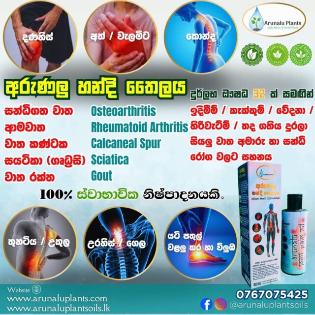 Madara | Gaja Madara | Cleistanthus collinus | ගජ මදාරා | Arunalu Plants