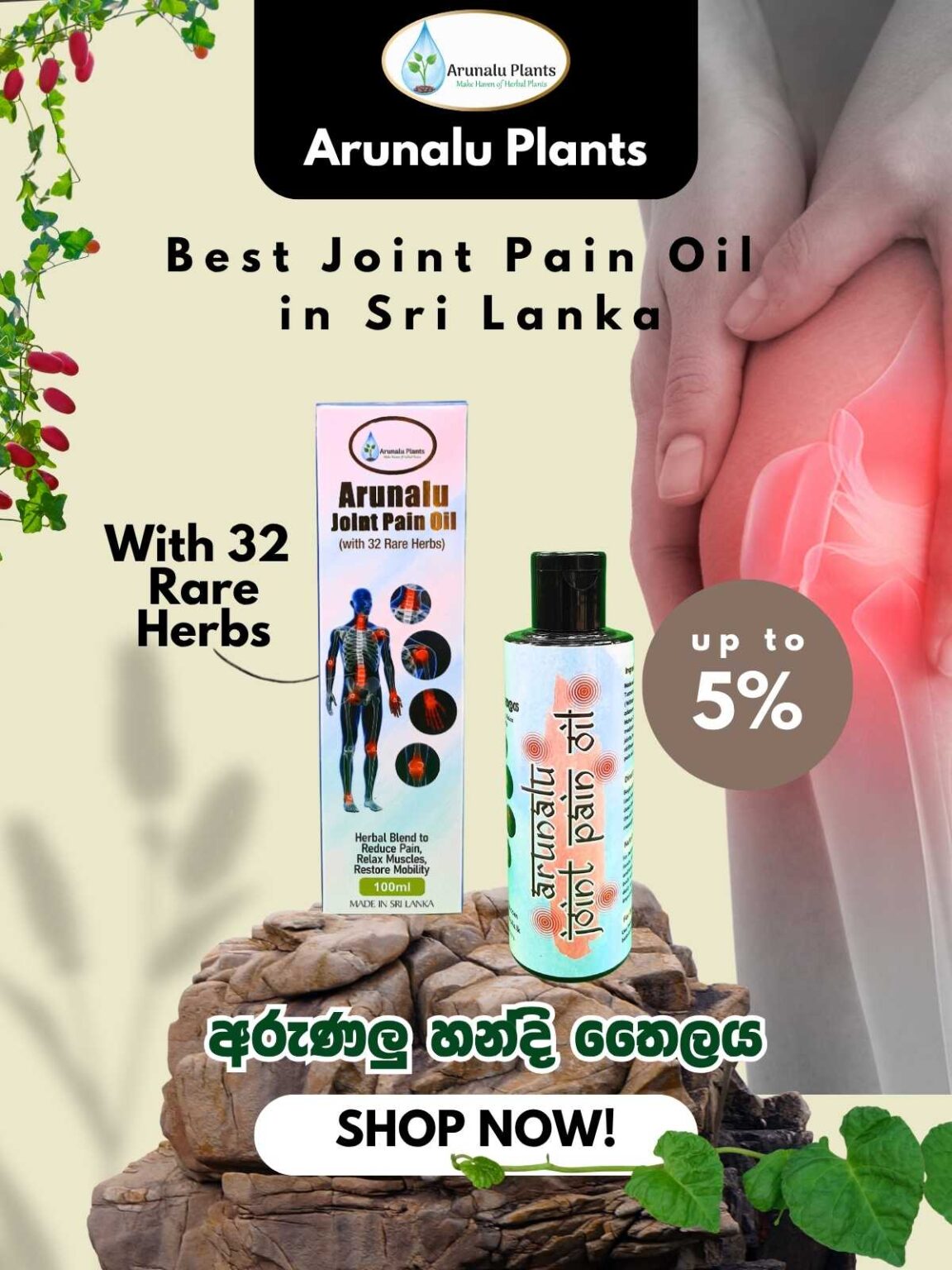 Arunalu Handi Thailaya | Arunalu Joint Pain Oil | අරුණලු හන්දි තෛලය ...